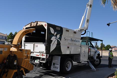 SB Landscaping | Services